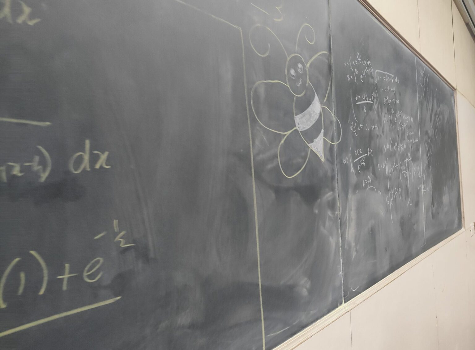 Integration Bee - Mathematics Club IITM